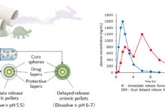 Modified and sustained release technologies (Dual delayed release ...