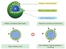 Modified and sustained release technologies (Dual delayed release ...