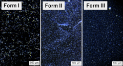 2024年4月 MicroED結晶構造解析の受託を始動！ | スペラファーマ株式会社 SPERA PHARMA, Inc.